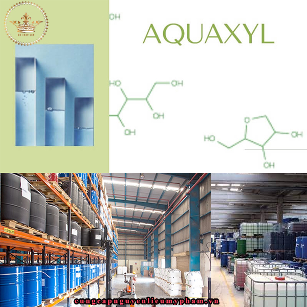 Hoạt chất dưỡng ẩm AQUAXYL ™ - CÔNG TY CUNG CẤP HOẠT CHẤT DƯỠNG ẨM